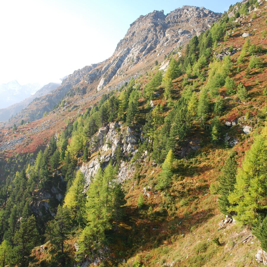 6) Höhenweg Grächen - Hannigalp – Saas-Fee | Grächen