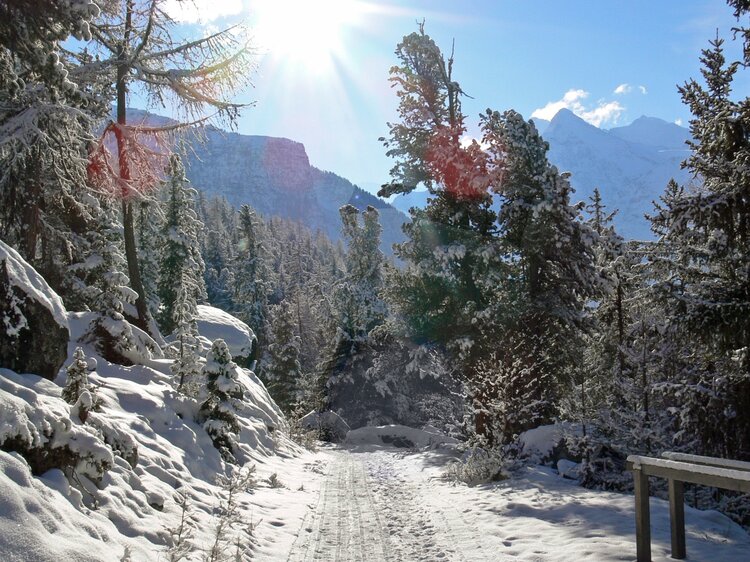 Fotoweg Winter Edition | Grächen