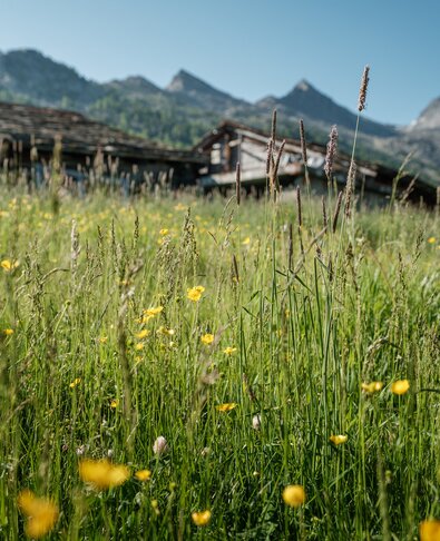 Time for Grächen – your holidays in the Valais | Grächen