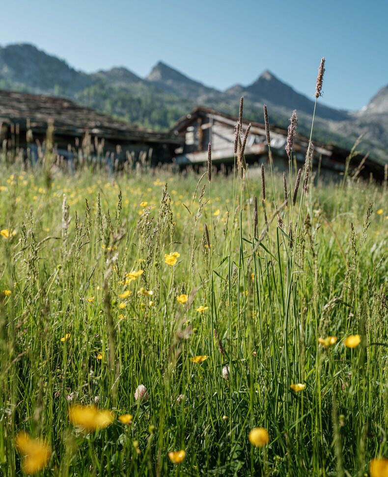 Time for Grächen – your holidays in the Valais | Grächen