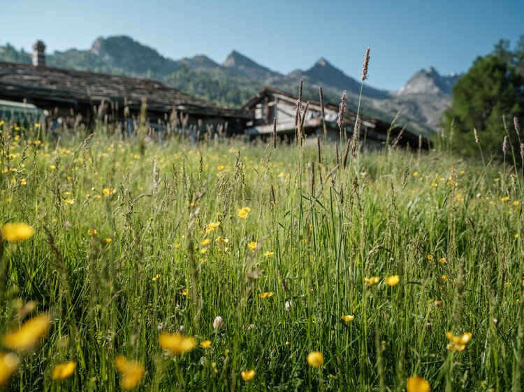 Time for Grächen – your holidays in the Valais | Grächen