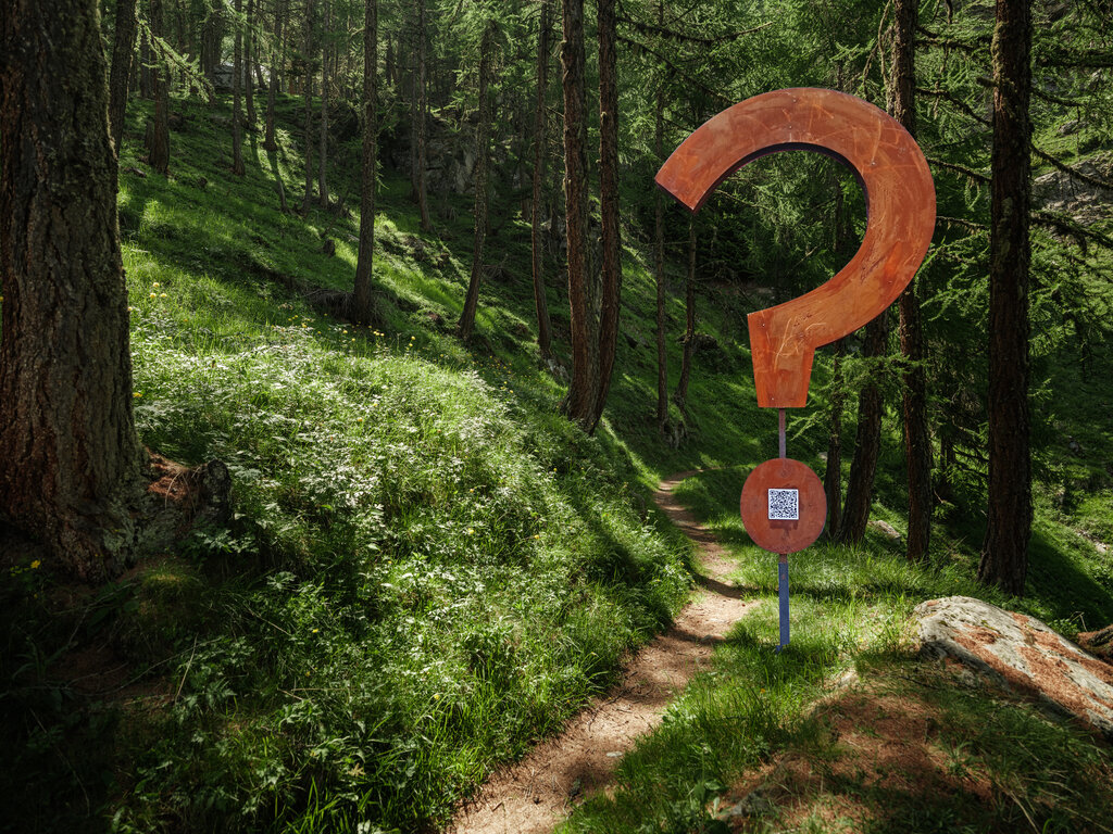 Questioning round tour